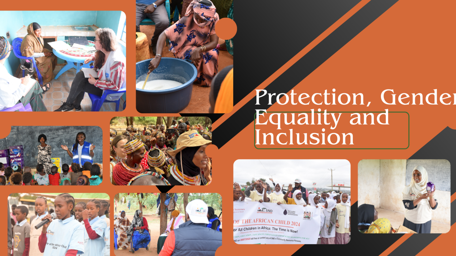 Protection, Gender Equality and Social Inclusion – Strategies for ...